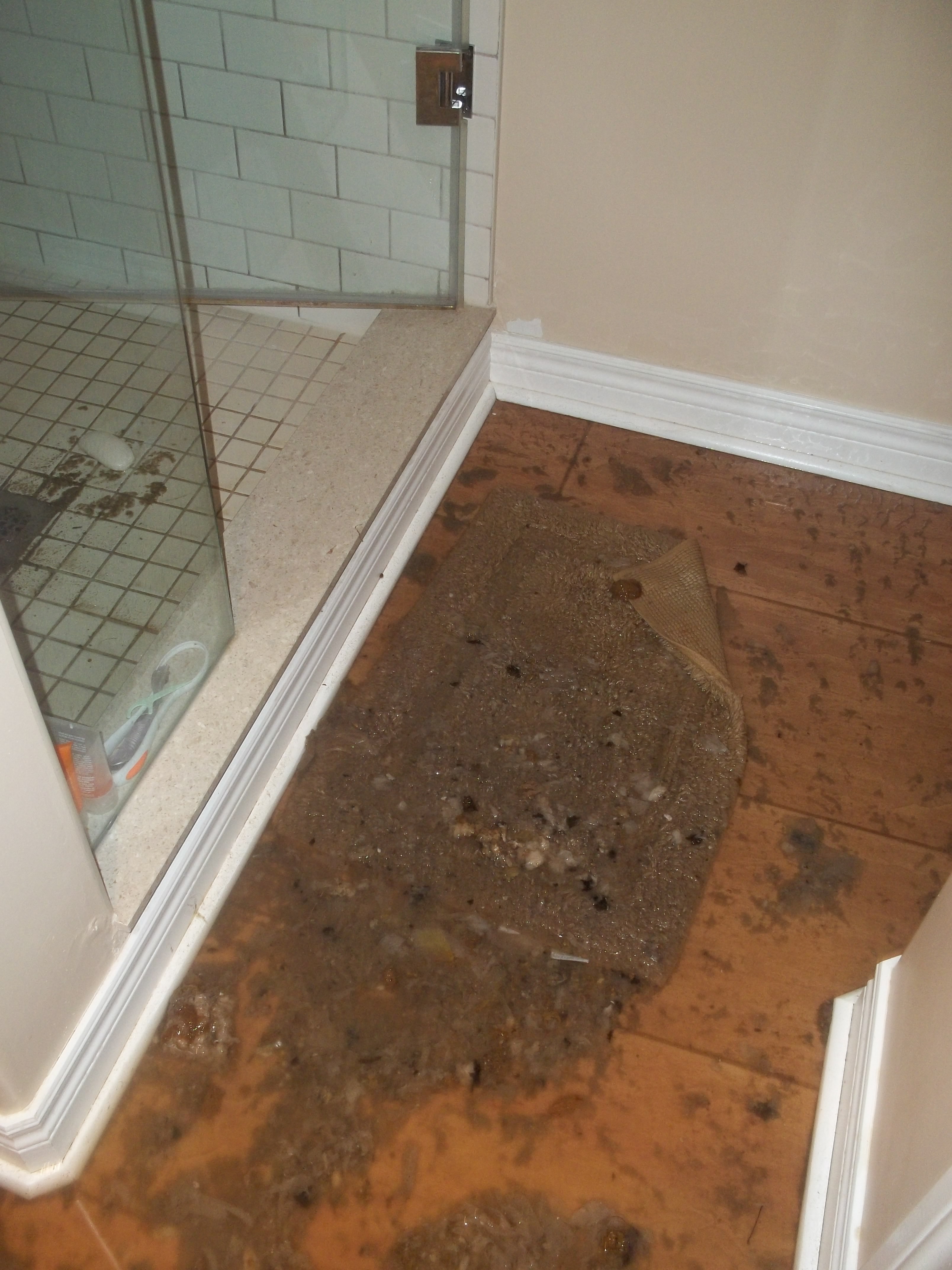 Basement Flooding in Birch Cliff - Birch Cliff News